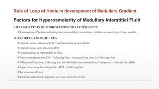 PHYSIOLOGY OF CONCENTRATION OF URINE.pptx
