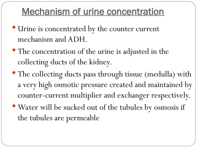 Concentration of Urine lecture note, different concentrations | PPT