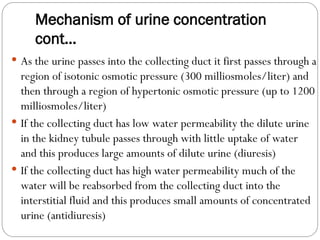Concentration of Urine lecture note, different concentrations | PPT