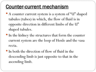 Concentration of Urine lecture note, different concentrations | PPT