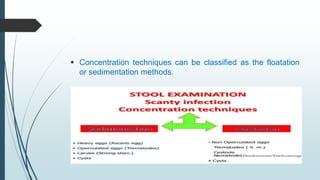 CONCENTRATIONS TECHNIQUES IN PARASITOLOGY PRESENTATION.pptx