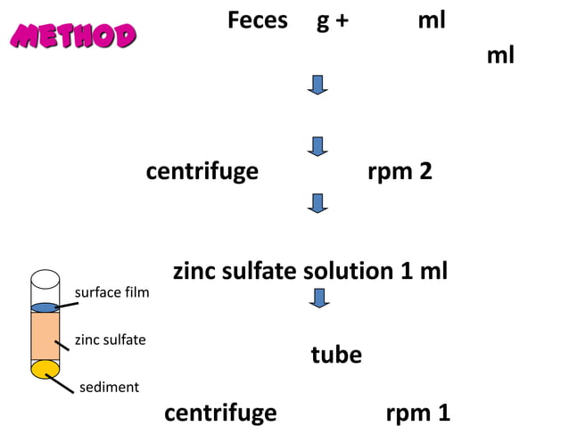 Concentration techniques for feacal examination | PPTX