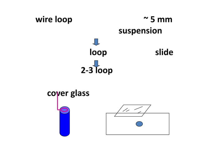Concentration techniques for feacal examination | PPTX