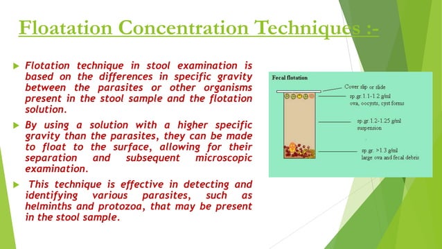 Concentration Techniques for stool examination .pptx | Digestive ...