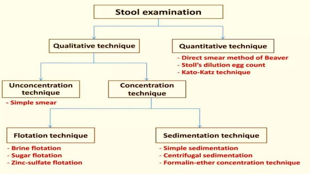 Concentration Techniques for stool examination .pptx | Digestive ...