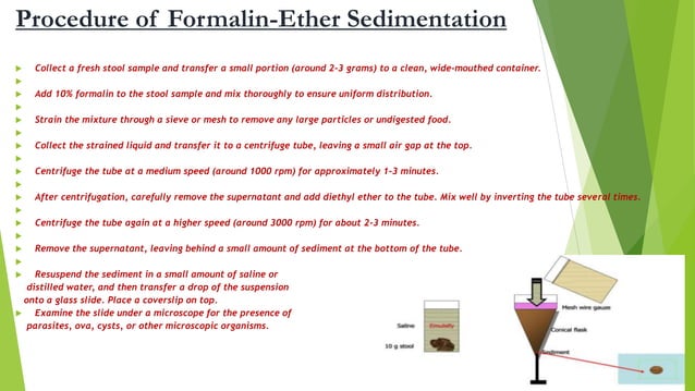 Concentration Techniques for stool examination .pptx | Digestive ...