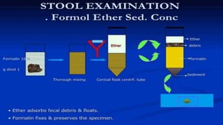 Concentration Techniques for stool examination .pptx
