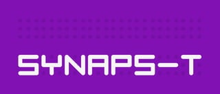 Synaps-T | PDF