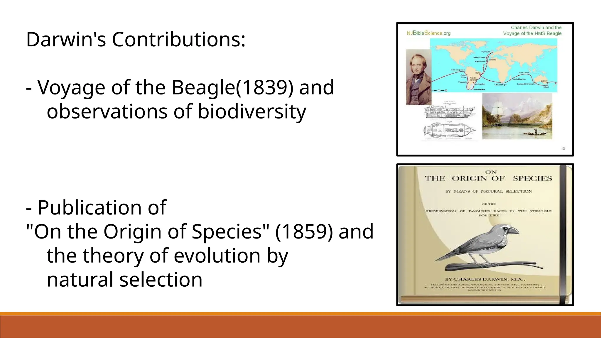 Concept-of-Evolution power point presentation | PPTX