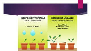 Concept-of-Variables-in-Research .pptx