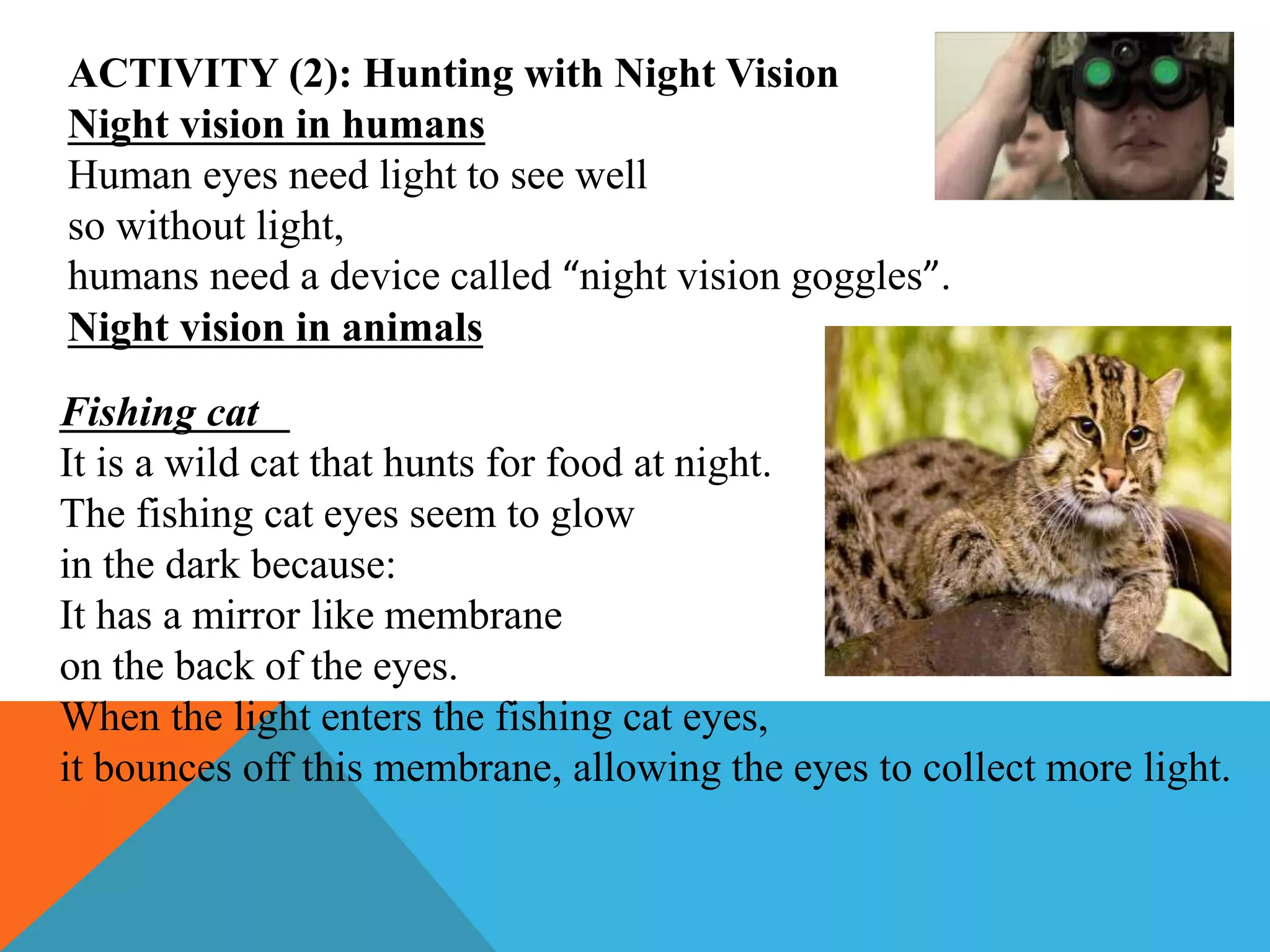 concept 1.3 light and sight.pptx