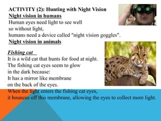 concept 1.3 light and sight.pptx