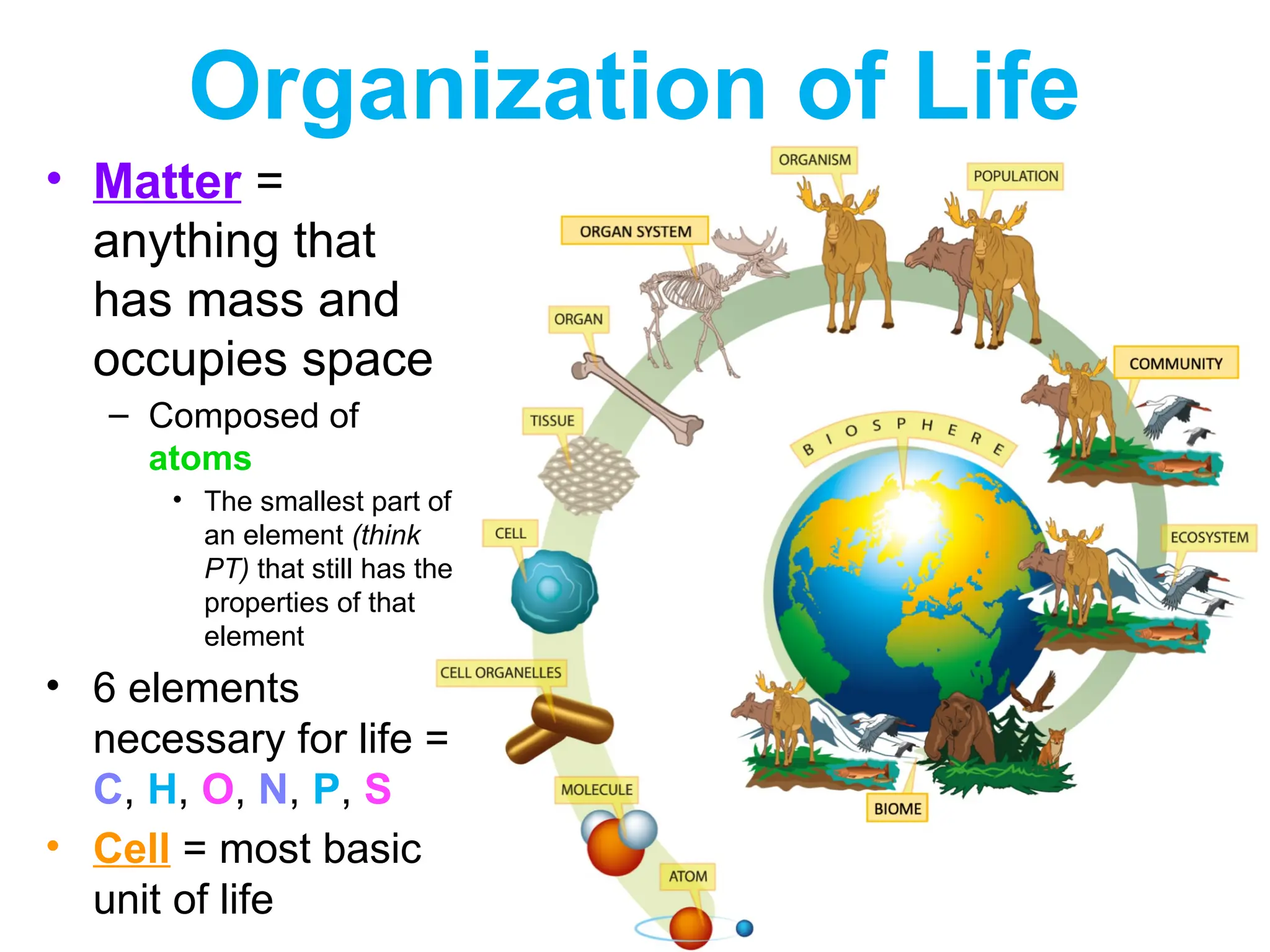 Concept 2 Notes - Chemistry of Life.pptx