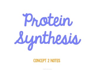 Concept 2 Notes - Protein Synthesis.pptx.pdf