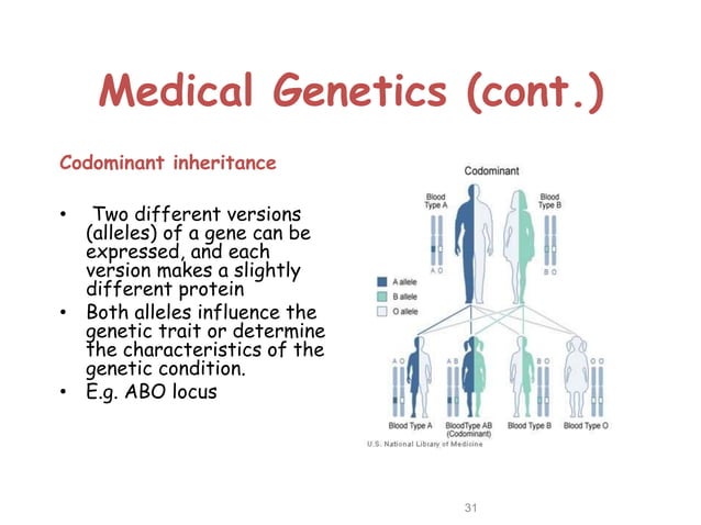 Concept and basics of genetics