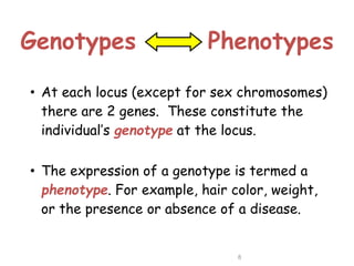 Genotype Vs Phenotype Venn Diagram