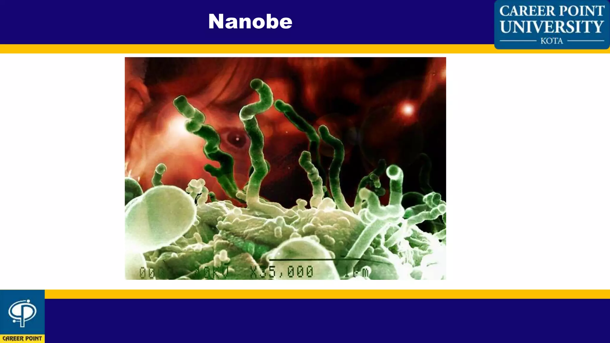 Concept and meaning of biology | PPTX