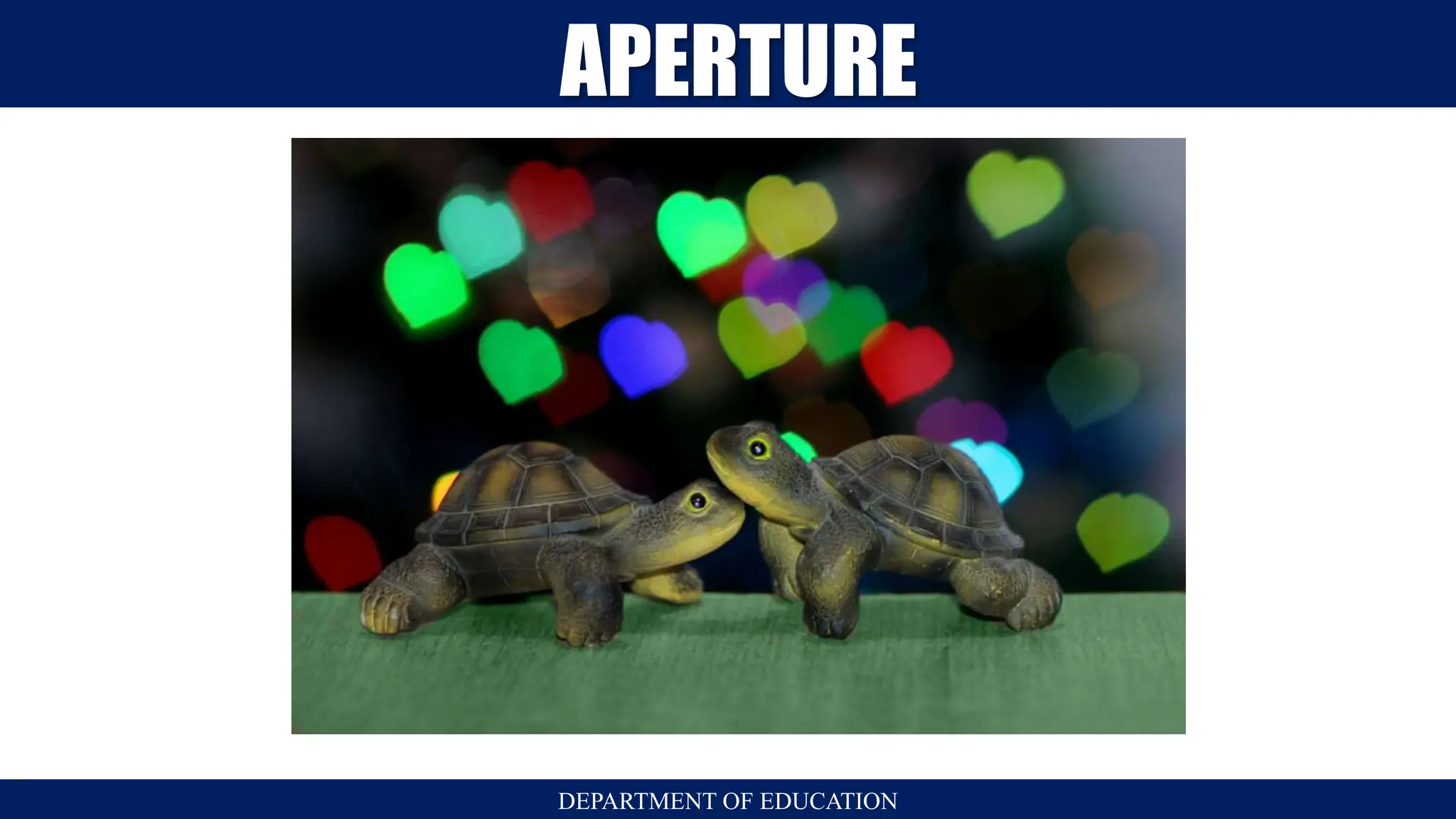 Concept and Principles of Photography.pptx