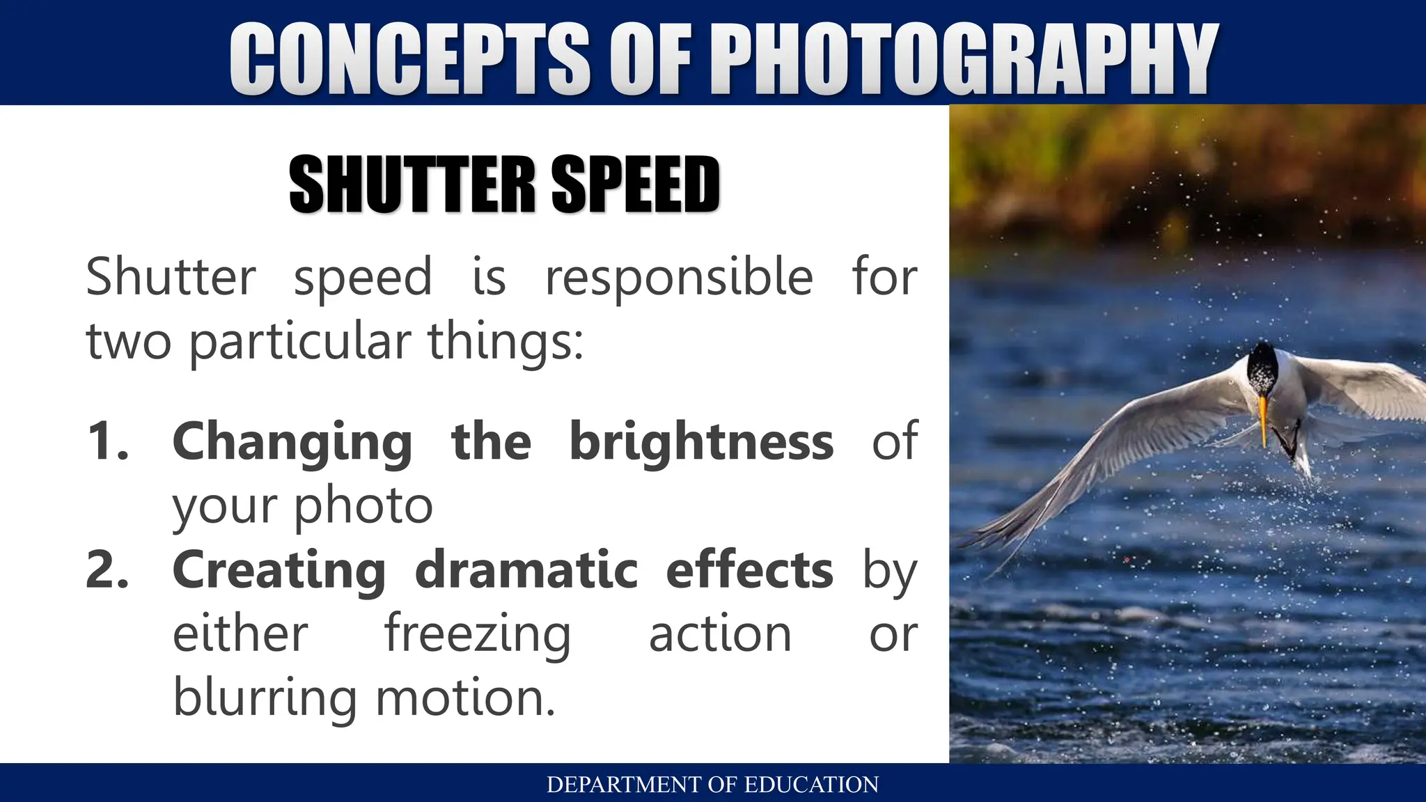 Concept and Principles of Photography.pptx