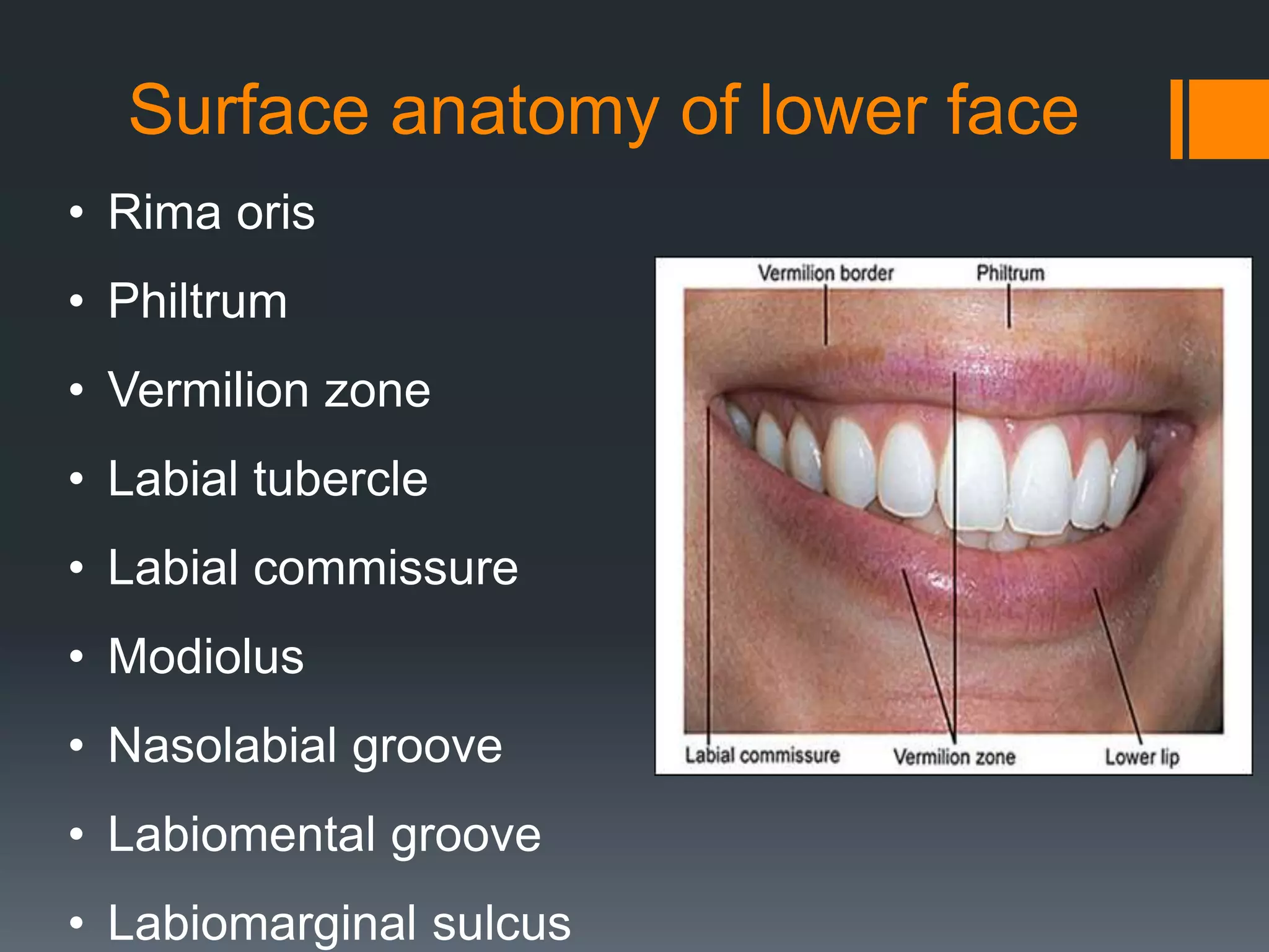 Concept and tecnique of impression making in complete dentures | PPTX