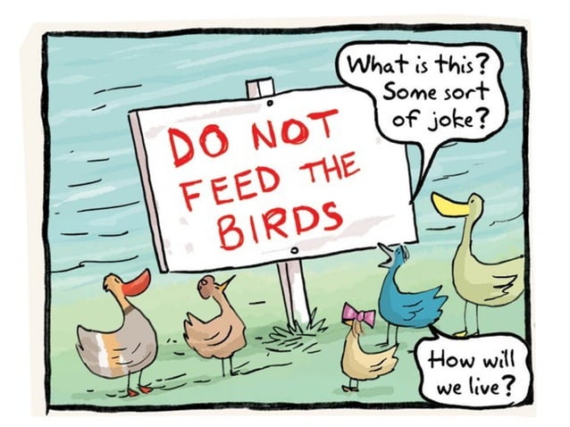 Concept cartoons | PPT | Science