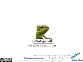 Concept Cartoons in Science Class | PPTX