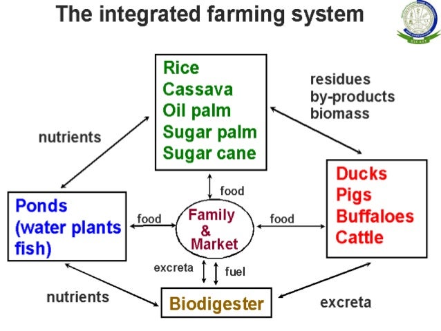 Concept, Definitions & Types of Farming System