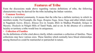 Concept Features and Classification of Tribe.pdf