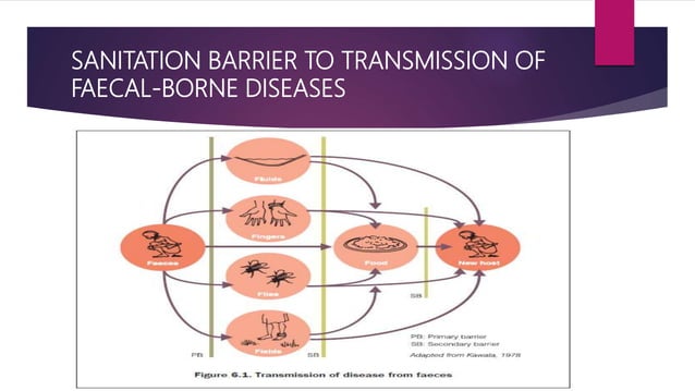 Concept, Health Risk and Management of Human Excreta | PPT