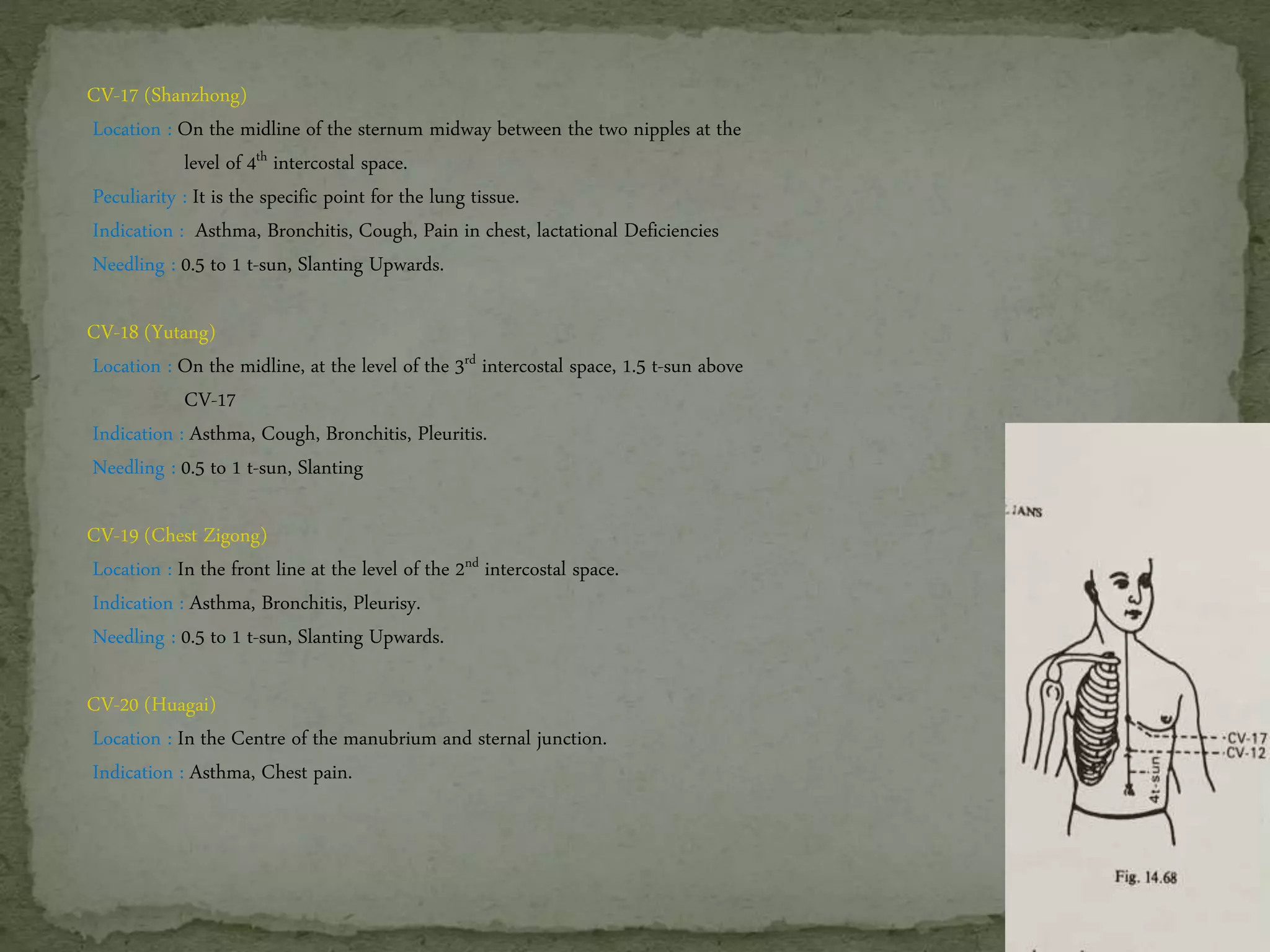 Conceptional vessels meridian (The Ren meridian) | PPTX