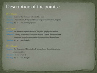 Conceptional vessels meridian (The Ren meridian) | PPTX