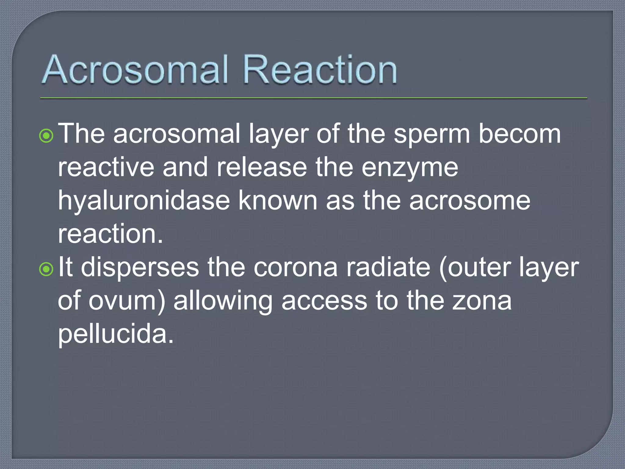 Conception and fertilization | PPTX