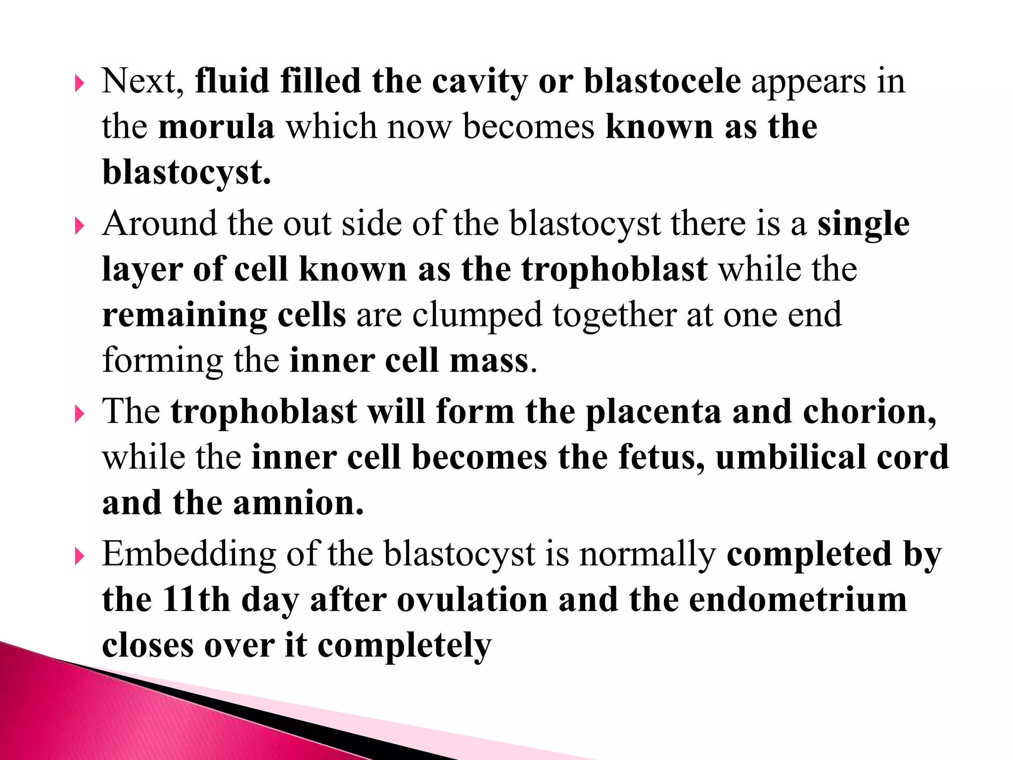 CONCEPTION AND FETAL DEVELOPMENT.pptx