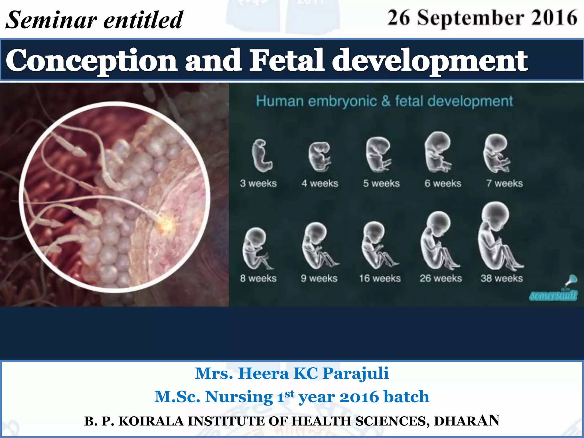 Conception and fetal development by Heera KC Parajuli | PPSX