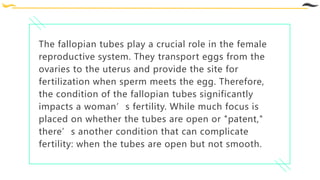 Conception Challenges- Understanding Open but Irregular Fallopian Tubes ...