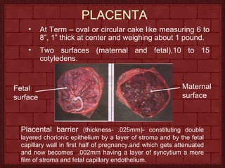 Conception, placenta, af, umbilical cord | PPT