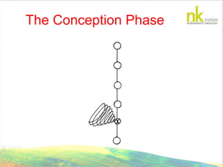 Energetics of Conception | PPT