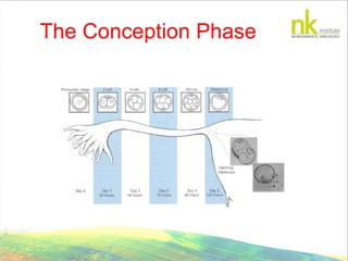 Energetics of Conception | PPT
