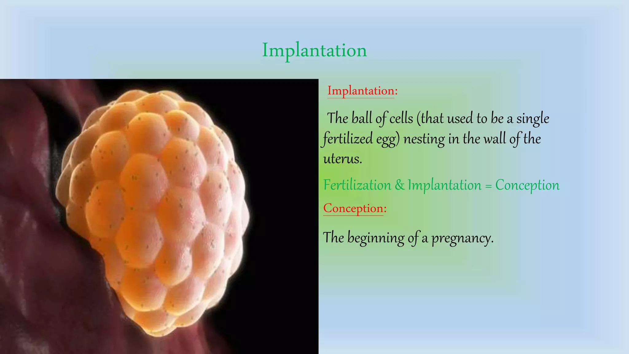 Conception presentation | PPTX