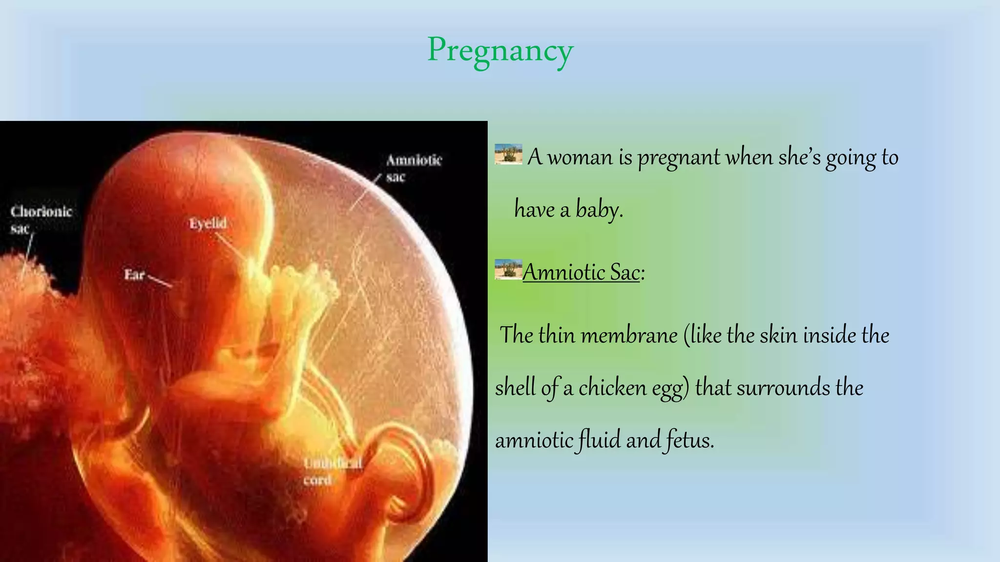 Conception presentation | PPTX