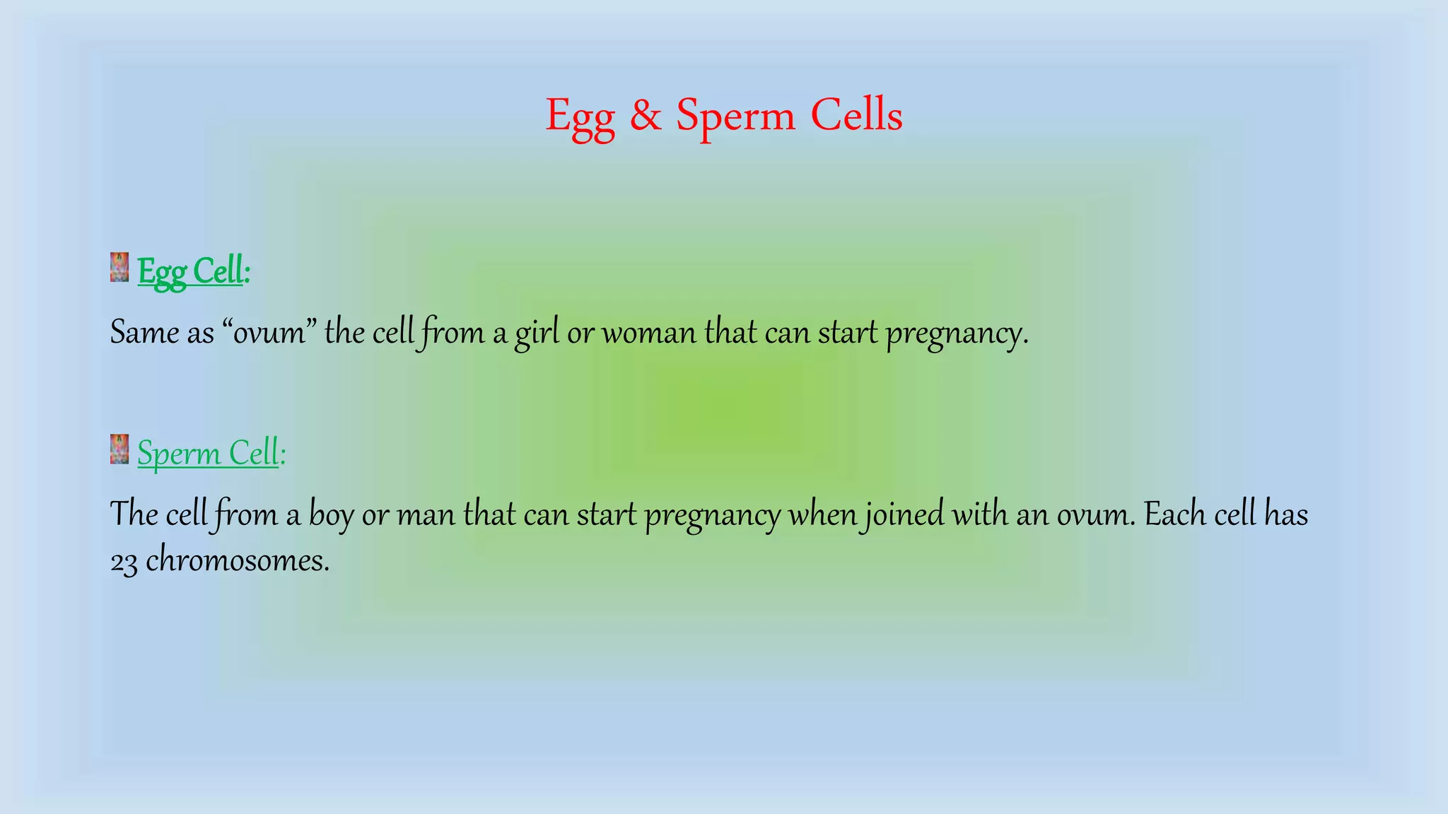 Conception presentation | PPTX