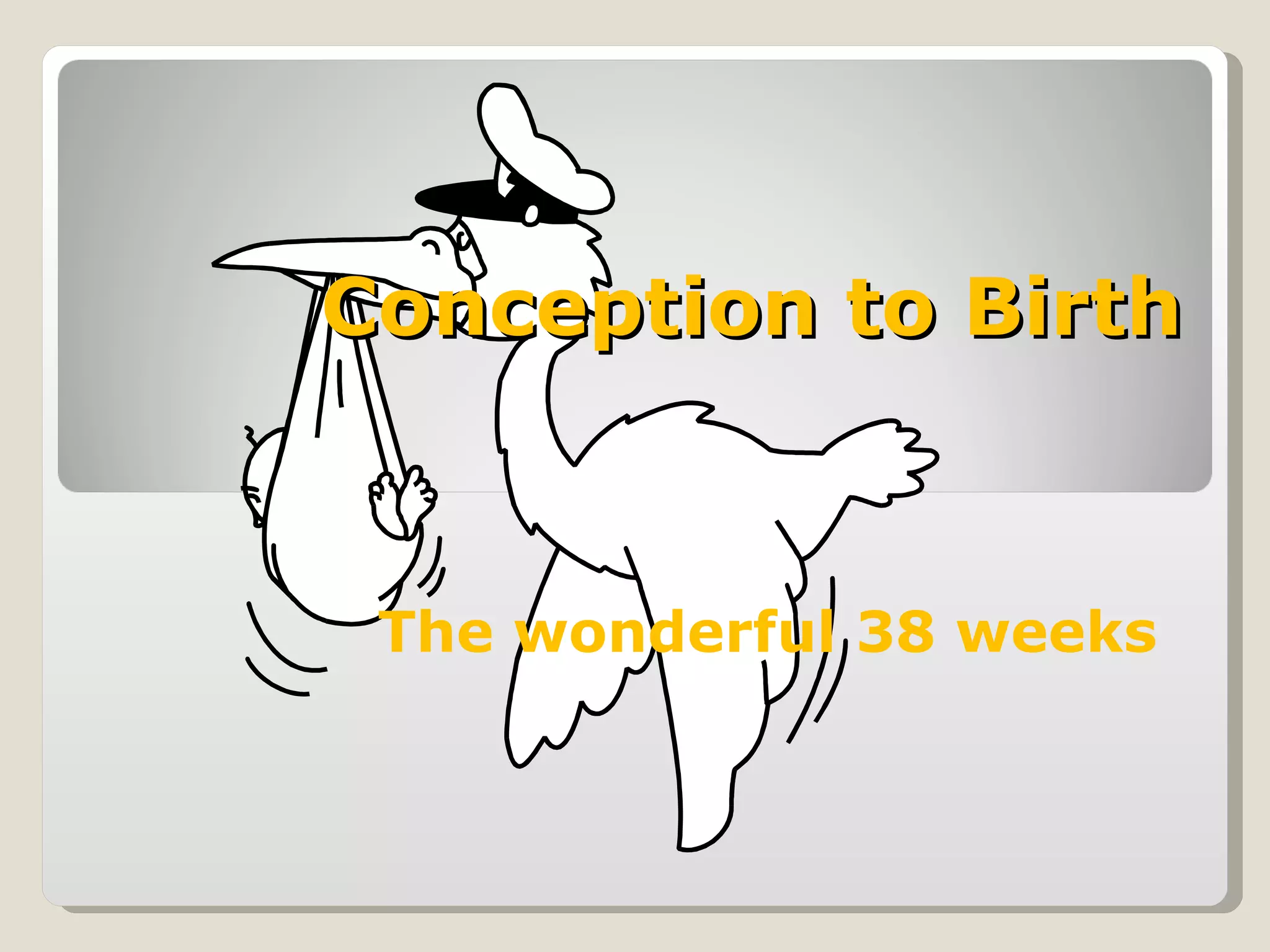 Conception to birth | PPT