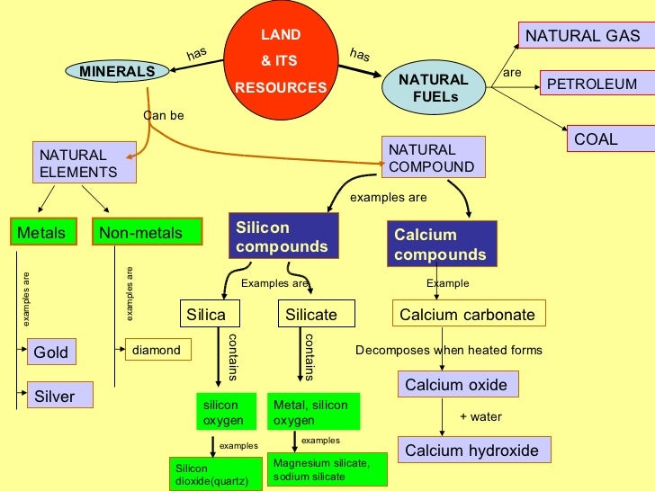 Concept Map What Is The Theory Of Evolution By Natural Selection - Map