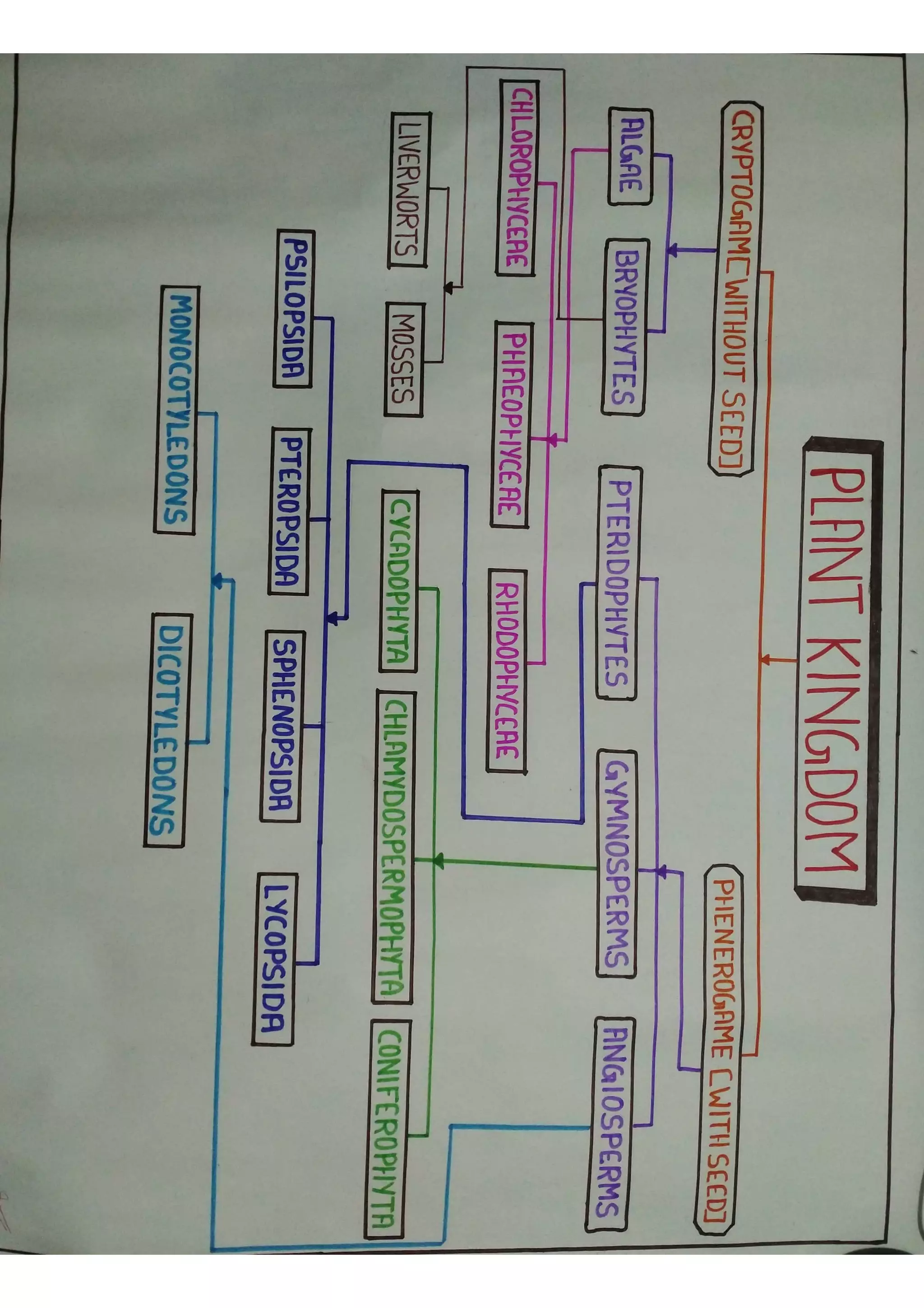 Concept map .pdf