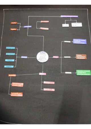concept map.pdf