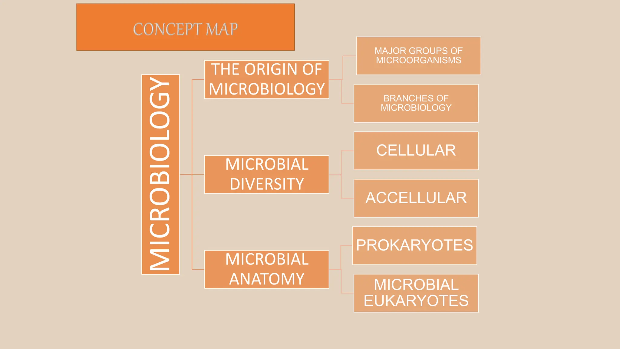 SCIENCE - CONCEPT MAP - MICROBIOLOGY.pptx