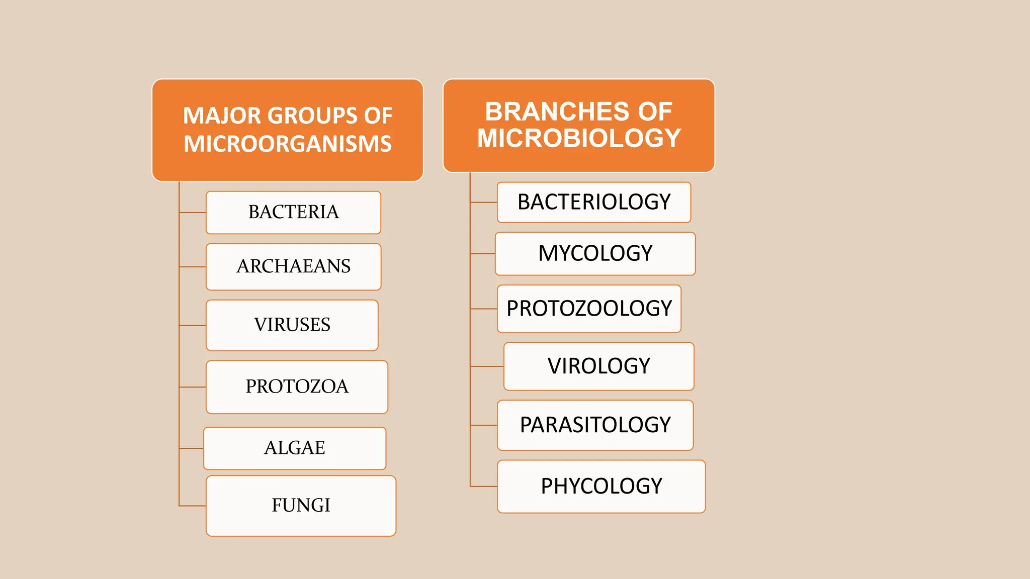 SCIENCE - CONCEPT MAP - MICROBIOLOGY.pptx