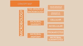 SCIENCE - CONCEPT MAP - MICROBIOLOGY.pptx