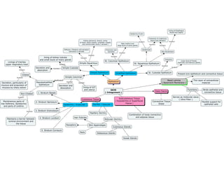 Concept map (cmap) of skin and epithelium | PDF