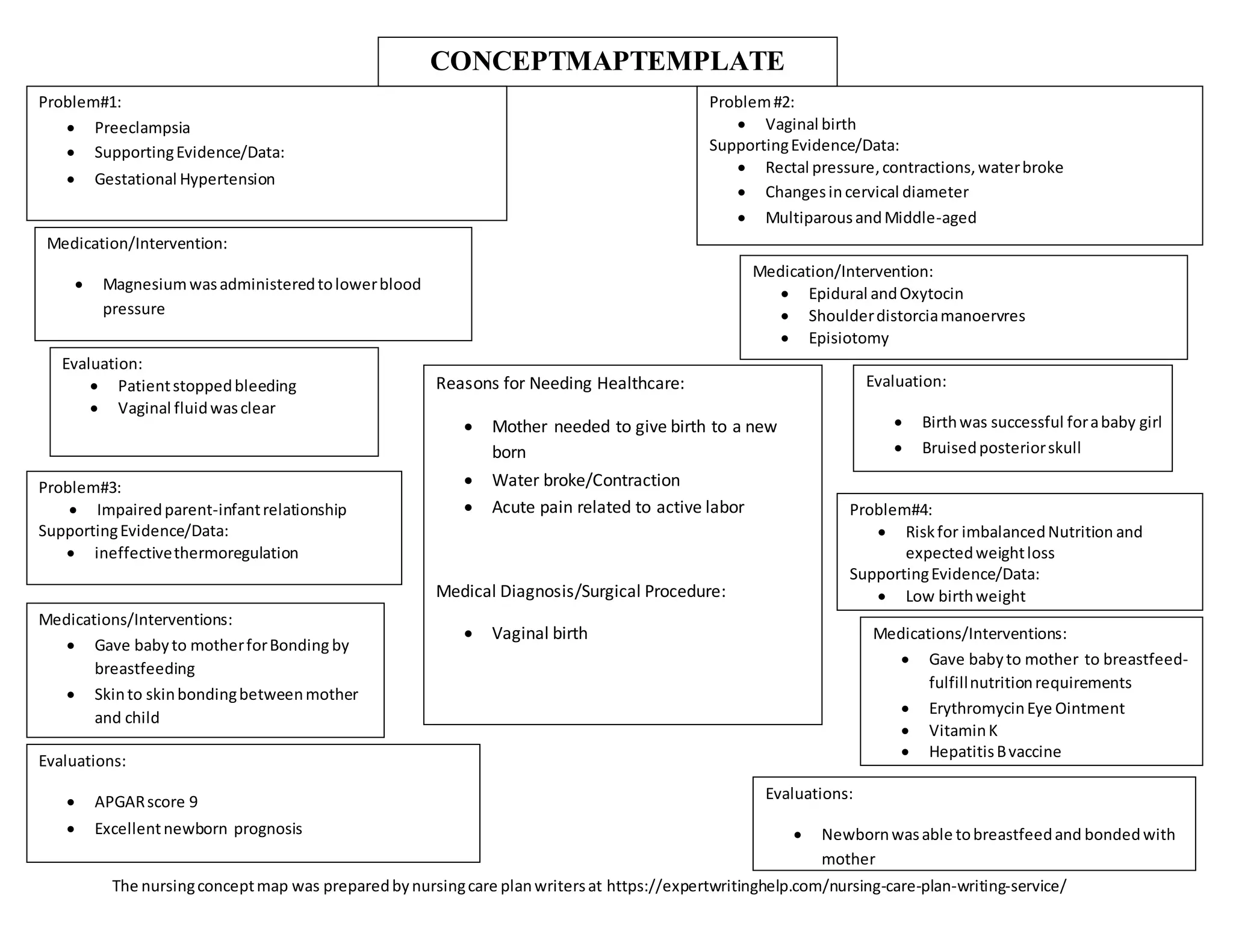 Maternity Nursing Care Concept Map Example | DOCX